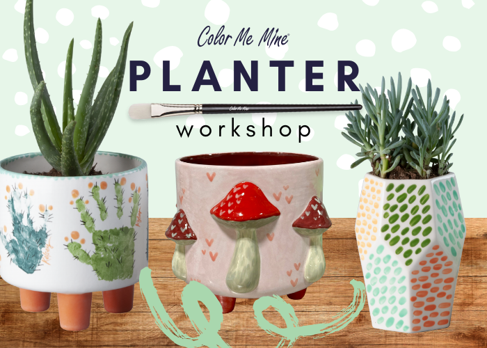 Color Me Mine Woodbury - Minnesota • Paint Your Own Pottery Studio