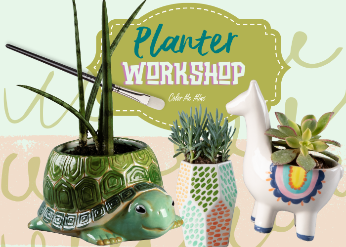 Color Me Mine Woodbury - Minnesota • Paint Your Own Pottery Studio